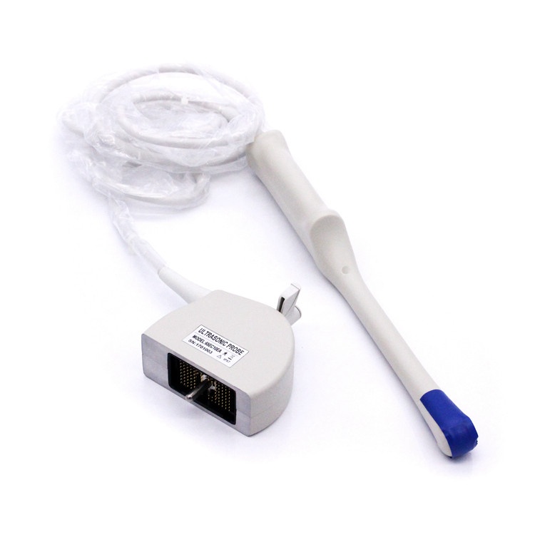 Hitachi Endocavity Probes