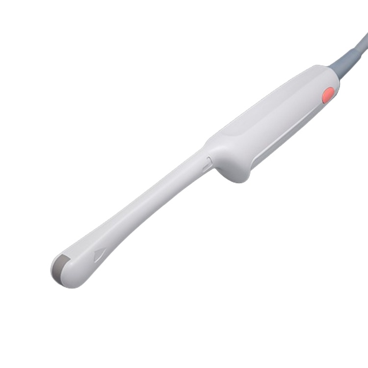 Toshiba Endocavity Transducer